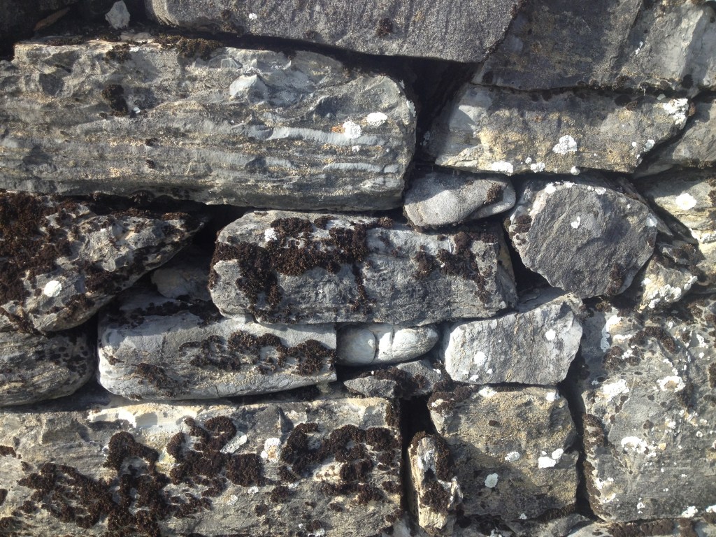 Rock Solid | caroltweed